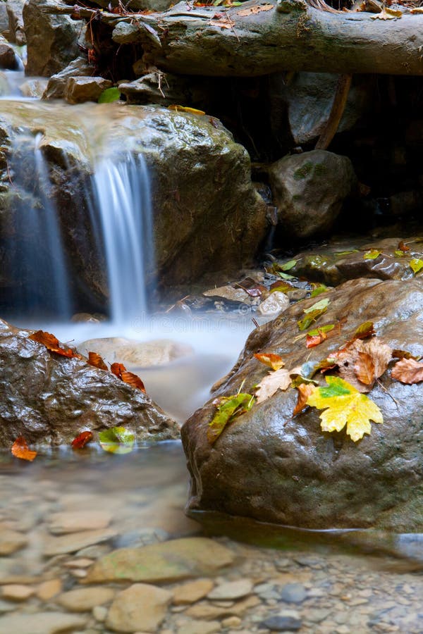 Mountain S Brook in Autumn Forest Stock Image - Image of leafage ...