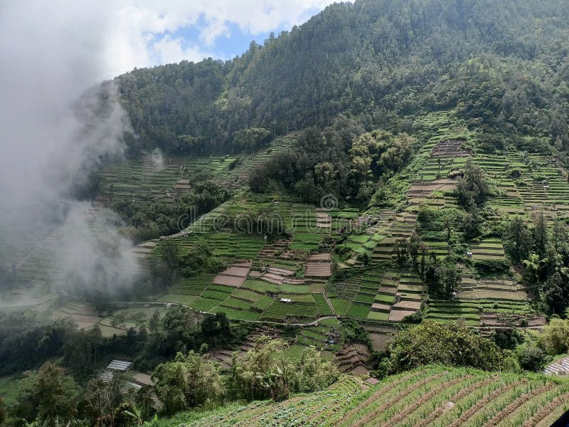 Mountain Sarangan Lake Indonesia Magetan East Java Stock Image - Image ...
