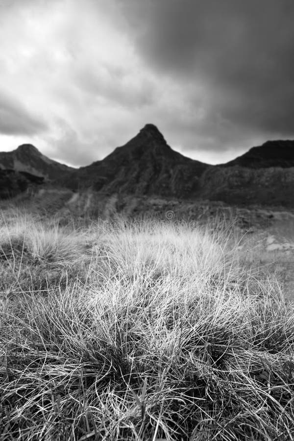 Mountain Scene with Grass in the Foreground Stock Photo - Image of ...