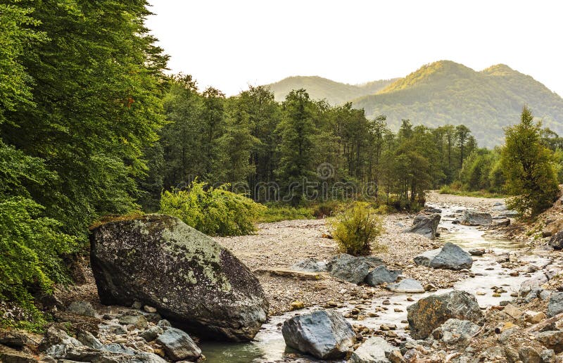 Mountain Scene with River Flowing Stock Image - Image of peaks, sample ...
