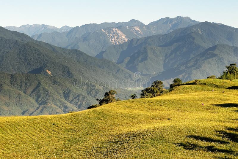 Mountain scenery stock photo. Image of landscape, grow - 16148564