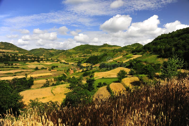 Loess plateau stock photo. Image of agriculture, trees - 25623092
