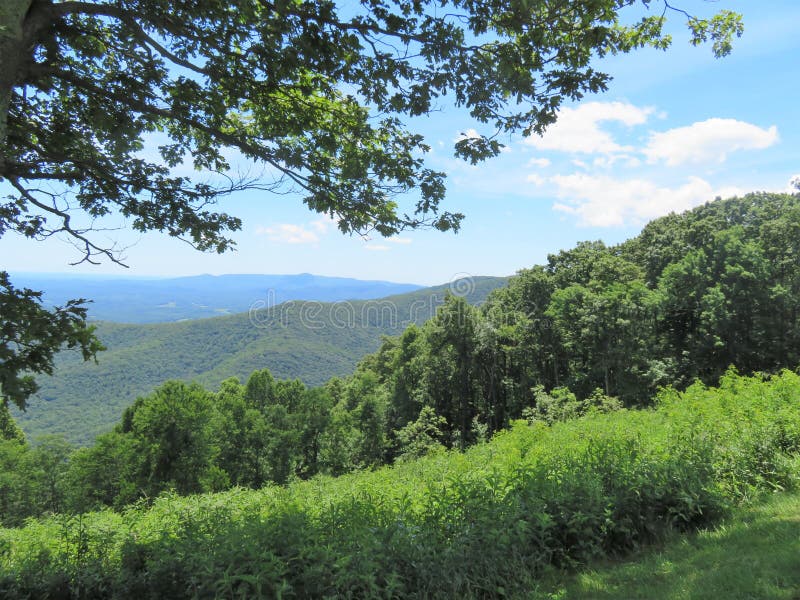 Mountain Scenery Along the Blue Ridge Parkway Stock Photo - Image of ...