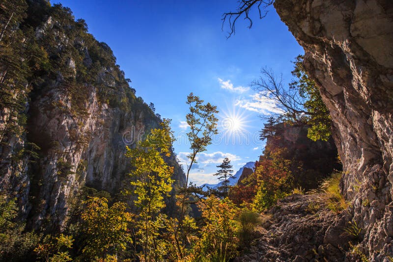 Mountain Scenery with Black Pine Trees Stock Photo - Image of limestone ...