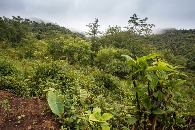 Mountain Scenery, Myanmar stock image. Image of region - 55966511