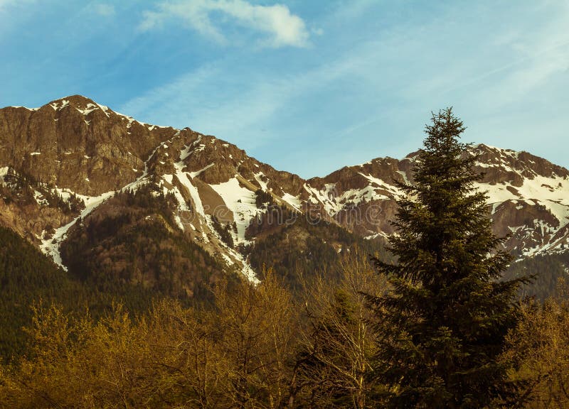Mountain Scenery Mountain Peak Forest Lone Tree Stock Image - Image of ...