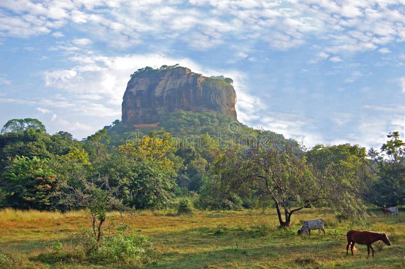 Mountain in the Shape of an Elephant Figure Stock Photo - Image of ...