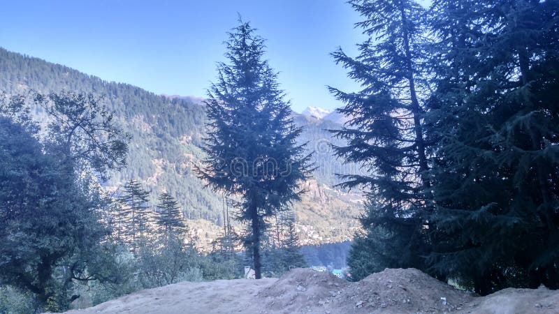 Shimla Manali in INDIA Rivers Mountain Trees Sky Stock Image - Image of ...