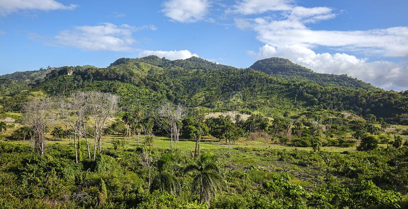 Tropical Mountains, Forest stock photo. Image of mountains - 175771598