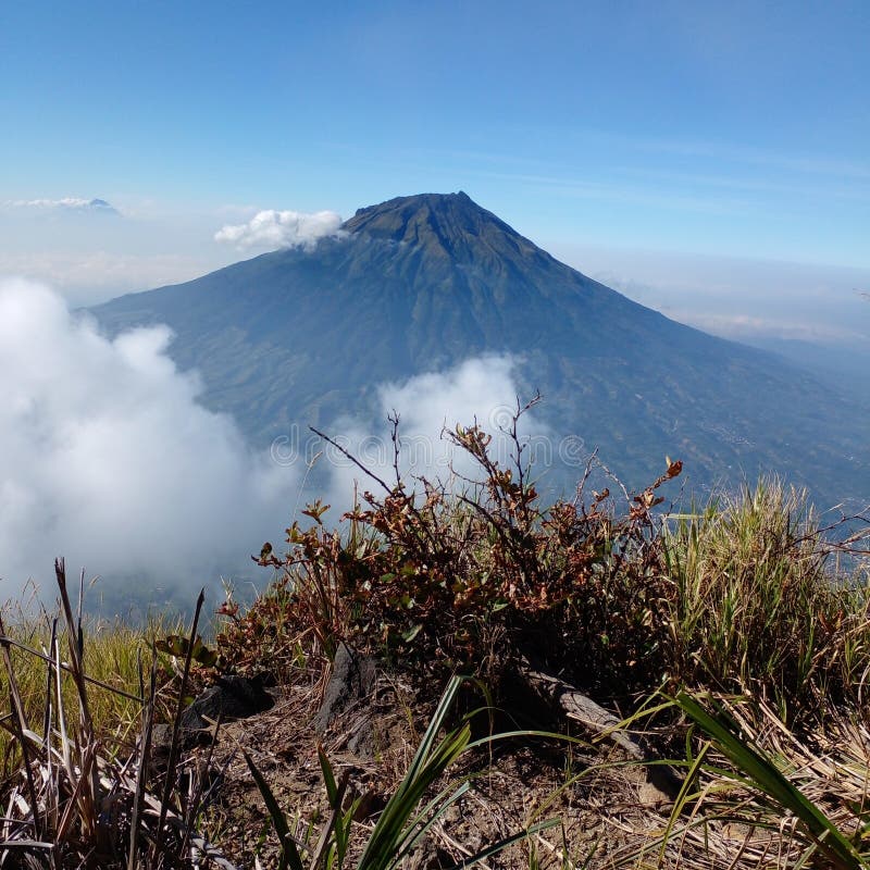Mountain Sindoro Cloud Gunung Stock Image - Image of cloud, meadow ...
