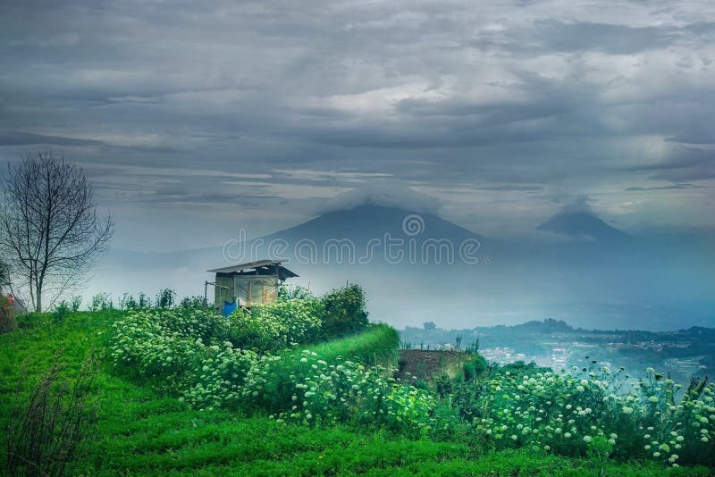 Mountain Sindoro and Sumbing in Indonesia Stock Photo - Image of hill ...