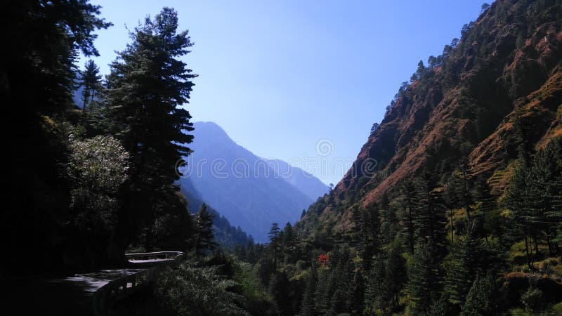 Mountain Sky Forest Shimla Manali Stock Photo - Image of shimla, forest ...