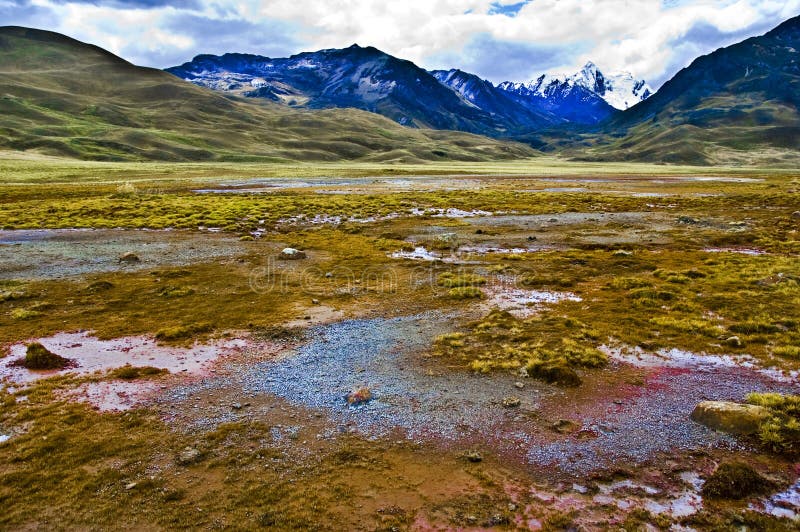 High Elevation Wetlands in the Cordillera Blanca, Peru Stock Photo ...