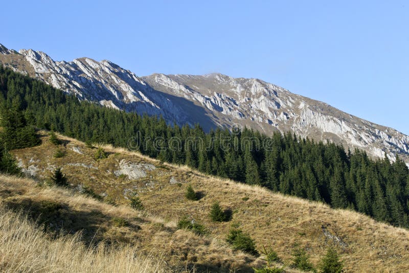 Mountain Slope stock photo. Image of nature, landscape - 13945566