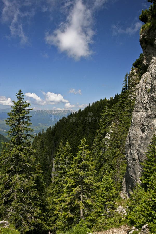 Mountain slope stock photo. Image of pine, woods, outdoor - 14100180