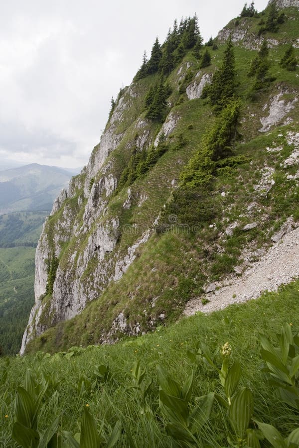 Mountain slope stock image. Image of outdoor, plant, travel - 15266259