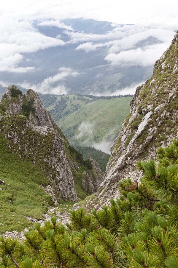 Mountain slope stock image. Image of outdoor, plant, travel - 15266259