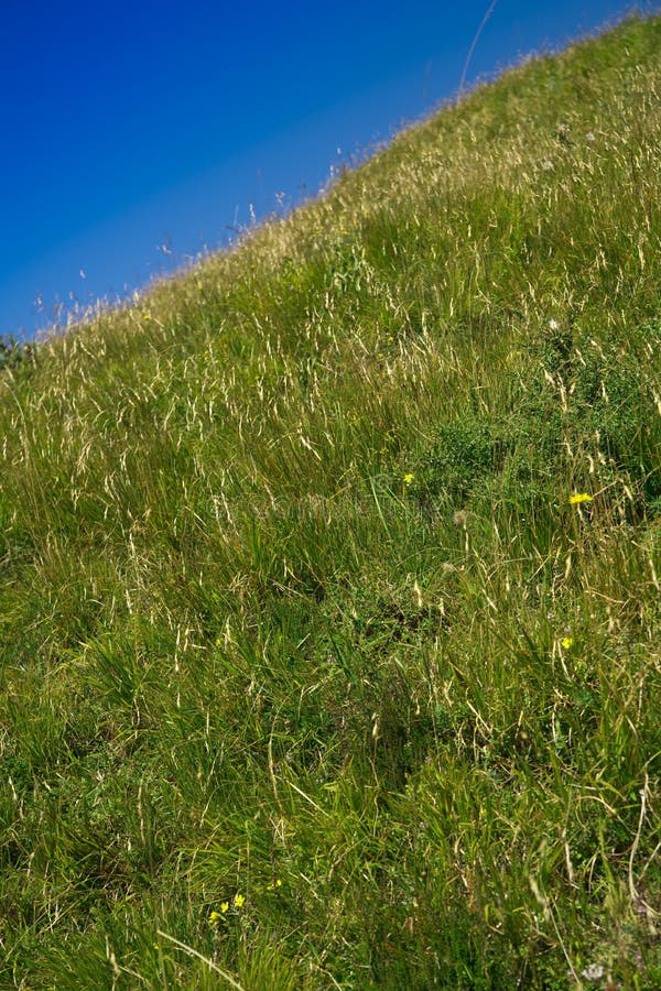 Mountain a Slope of Green Grass Stock Photo - Image of sunny, field ...