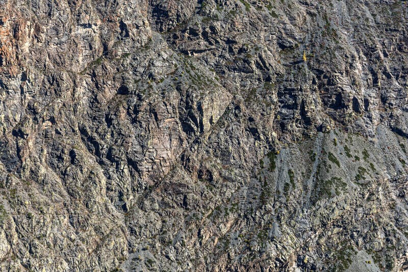 Mountain Slope Stones Texture Stock Image - Image of plants, gray: 78928175