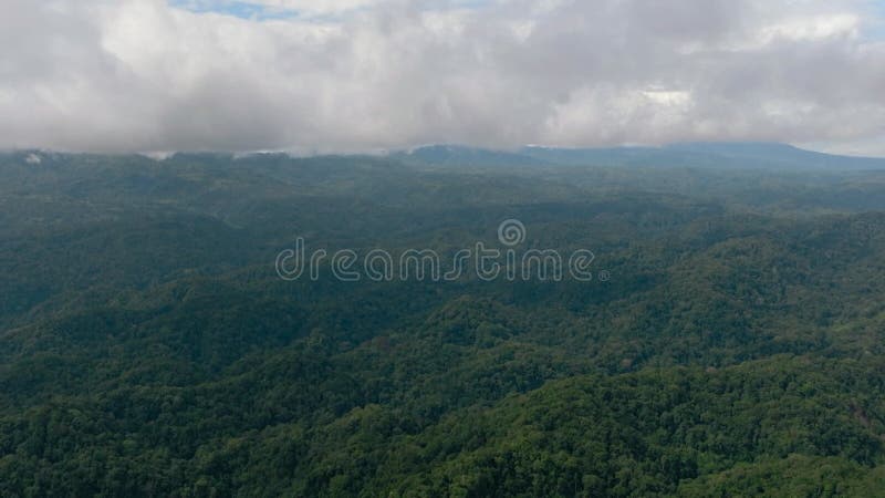 Mountains with Rainforest and Jungle. Sumatra, Indonesia. Stock Video ...