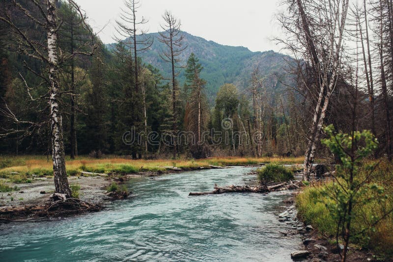The Mountain Small River with Blue Water Stock Photo - Image of ...