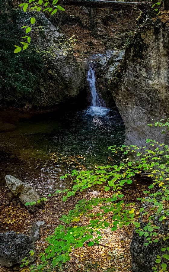 Mountain Small River in Forest with Rapids and Waterfalls. a Forest ...
