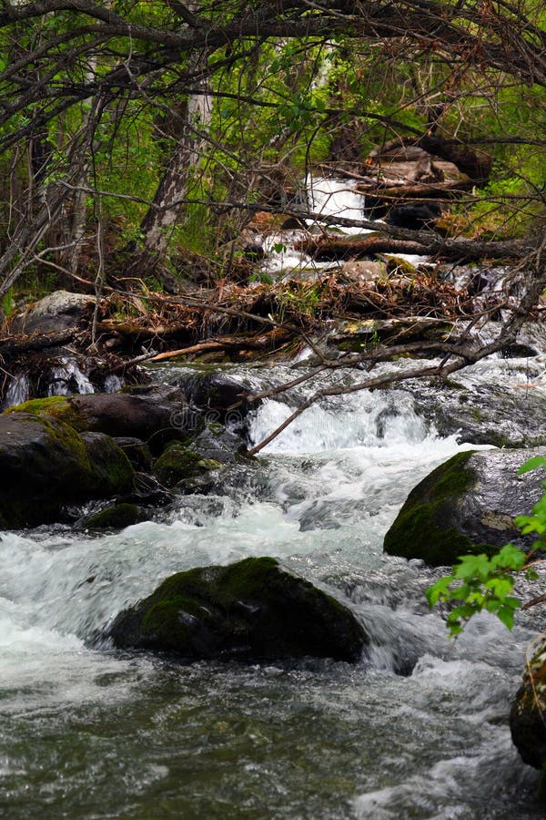 Mountain small river stock photo. Image of reserve, mountain - 36677834