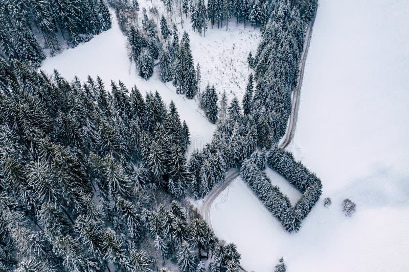 Mountain Snow Covered Pine Forest, Top Down Aerial View. Winter ...