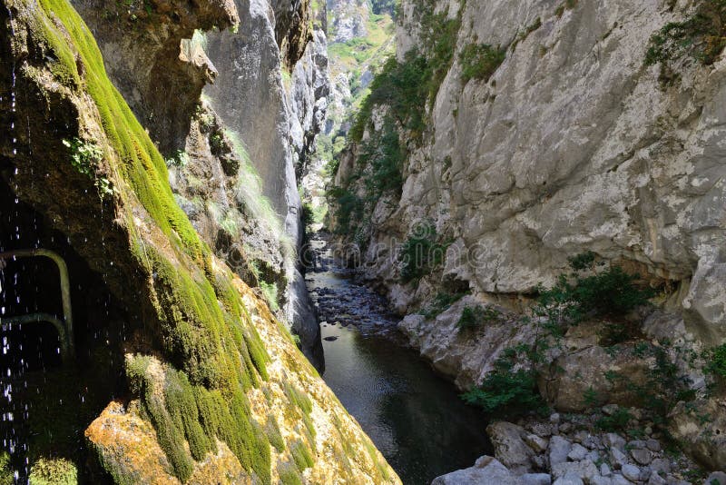 Mountain Source of Fresh Water Stock Image - Image of cool, fountain ...
