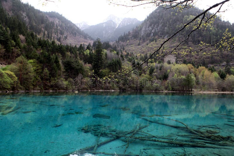 Mountain and Sparkling Bright Blue Lake Stock Photo - Image of pebbles ...