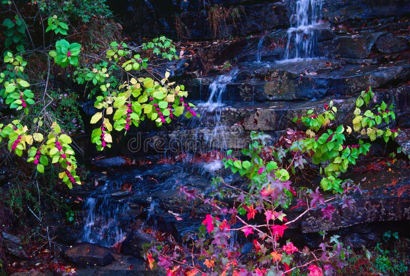 Mountain Spring stock image. Image of life, flow, waterfall - 1009533