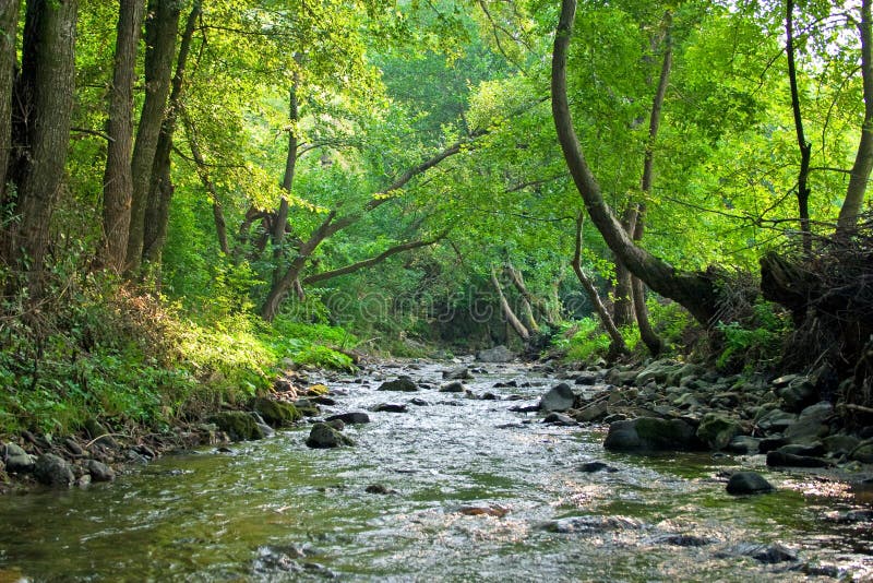 Mountain spring stock photo. Image of country, flowing - 10641790