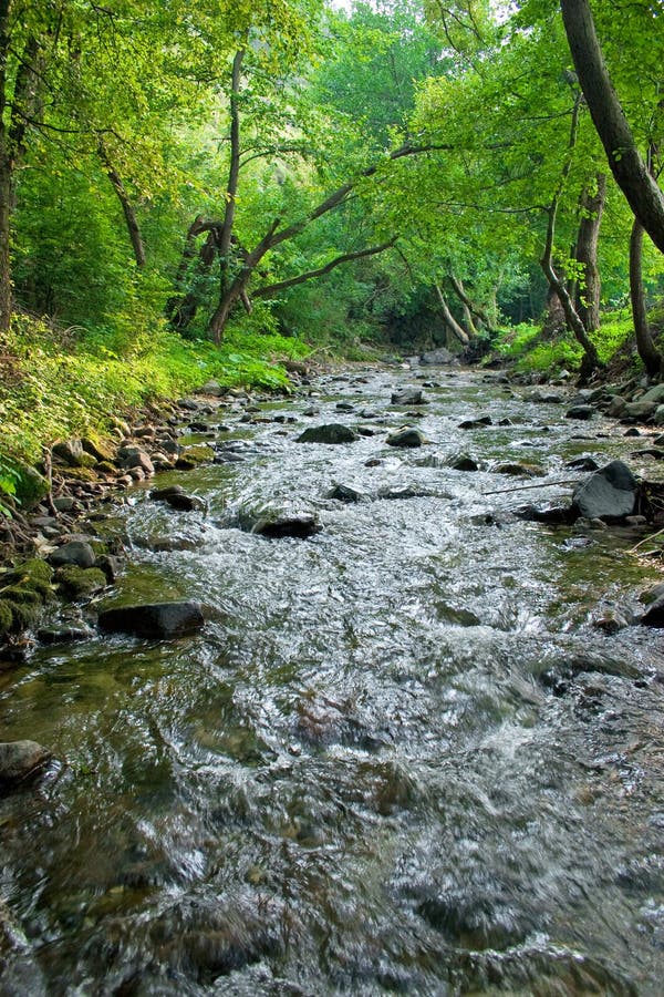 Mountain spring stock photo. Image of country, flowing - 10641790