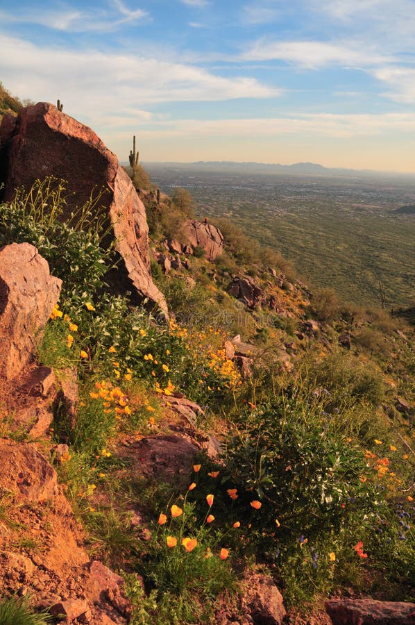 Arizona Mountainside Looking Over Valley Stock Photo - Image of layers ...