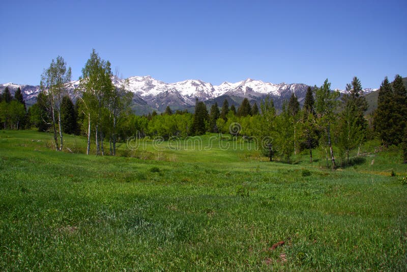 Mountain Spring stock photo. Image of blue, tree, peaceful - 5512400