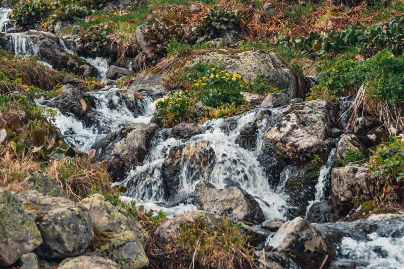 Mountain Spring Creek on Sunny Day Stock Photo - Image of scenic ...