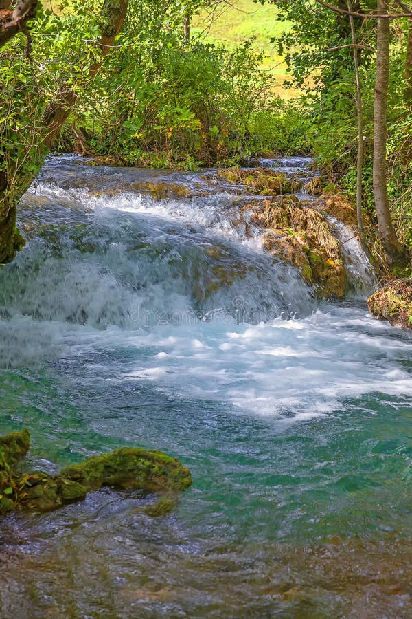 Mountain Spring with Fresh Water Stock Photo - Image of stream, thirsty ...