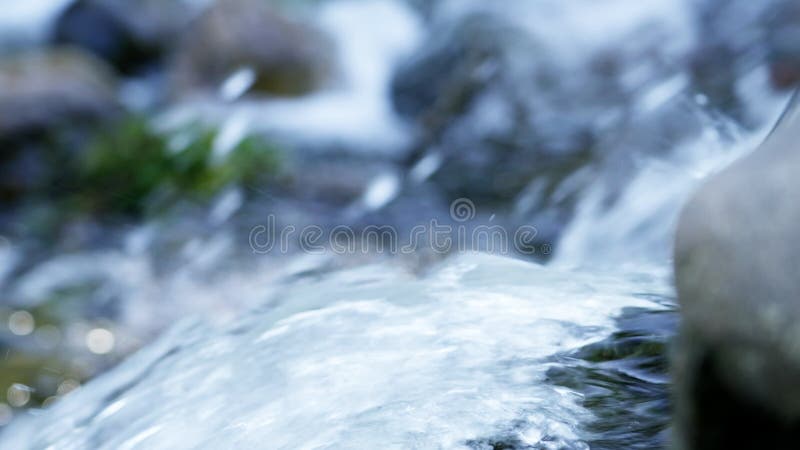 The Mountain Spring Gushed Forth Stock Video - Video of stream, flow ...