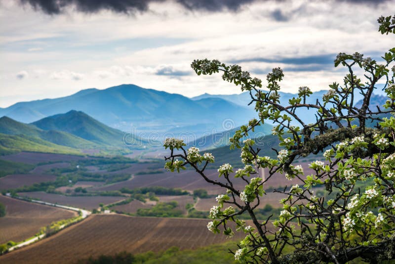 Mountain spring landscape stock photo. Image of mountains - 213203996
