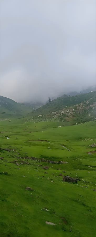 Mountain Spring Landscape. Overcast Weather Stock Illustration ...