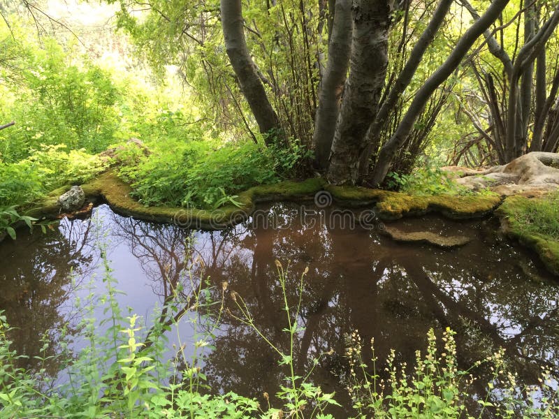 Mountain spring stock photo. Image of landscape, natural - 76498880