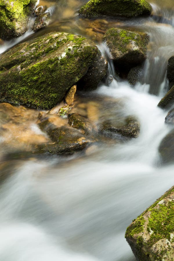 Mountain spring stock photo. Image of forest, clean, serene - 41923018