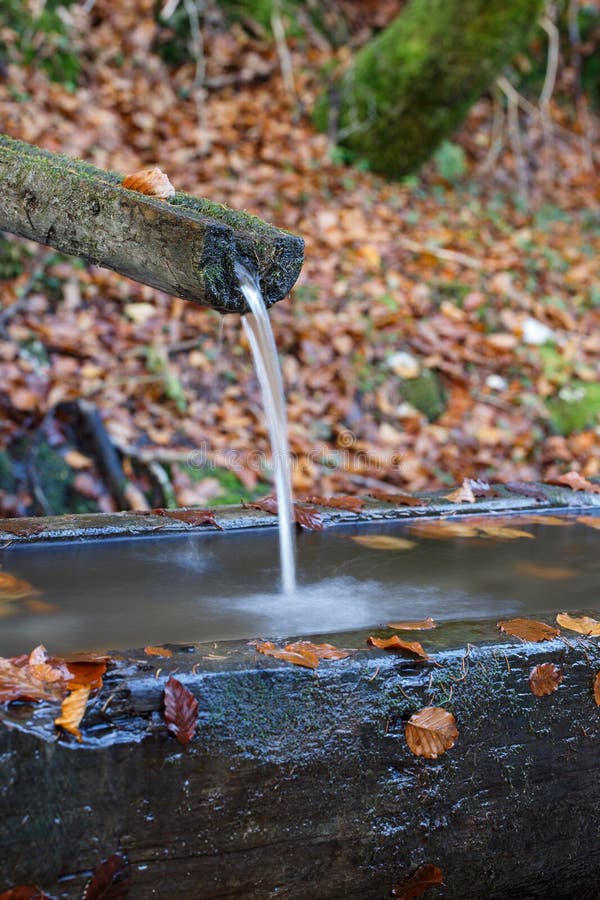 Mountain Spring of Pure, Clear, Fresh Water with Water Trough in the ...