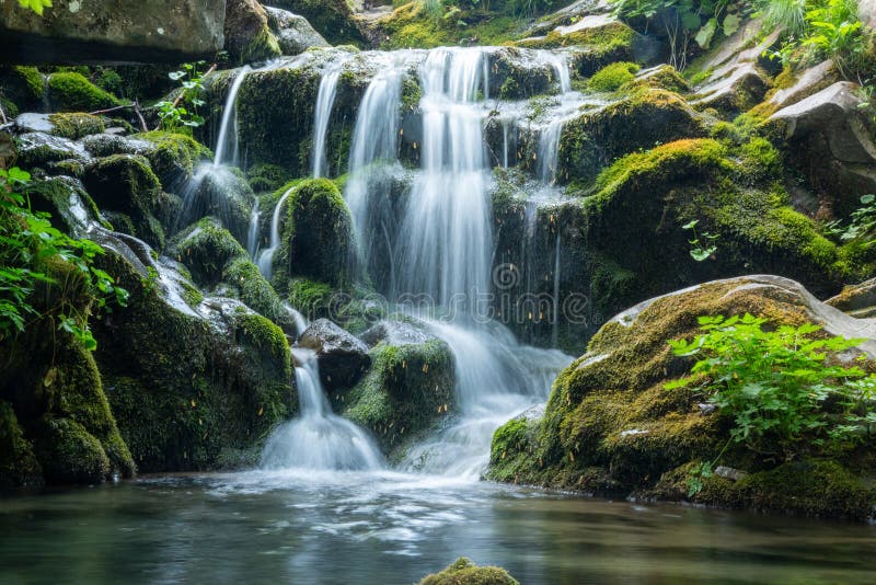 Spring of Pure and Crystalline Drinking Water. Atins Region, Maranhao ...