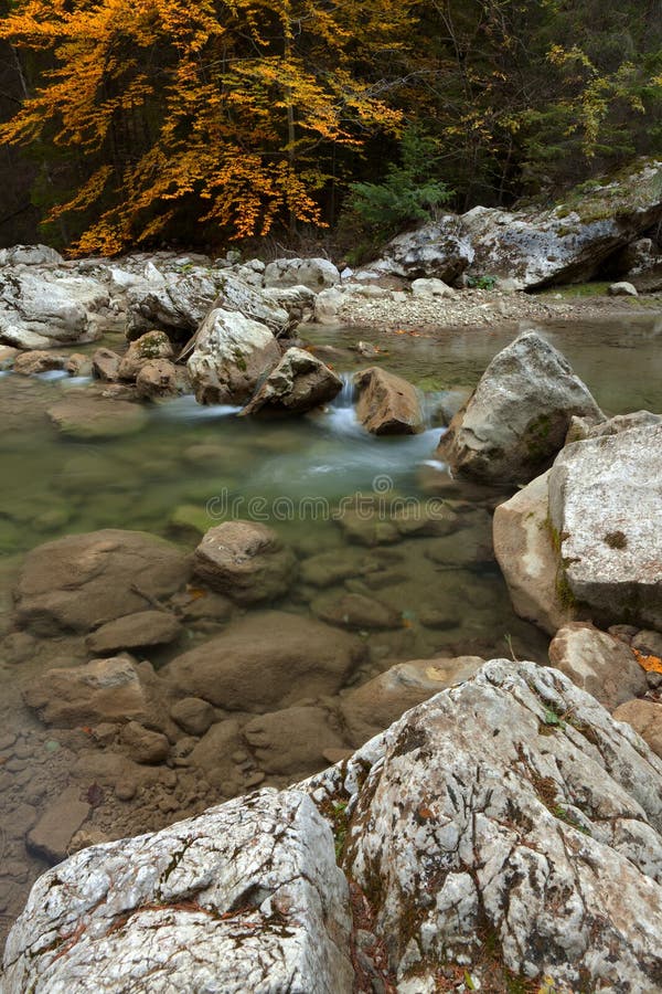 Mountain Spring/river during Autumn Stock Photo - Image of green ...