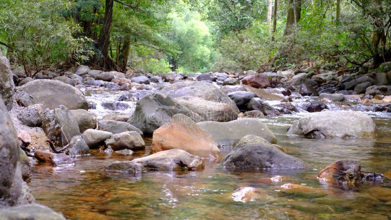 The Mountain Spring Water is Flowing Softly Stock Image - Image of ...