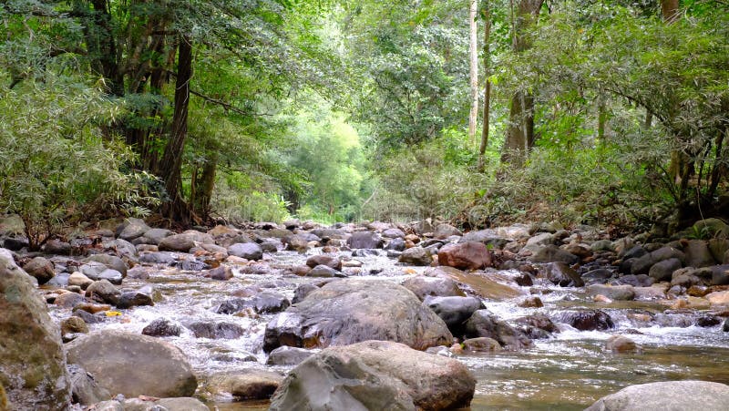 The Mountain Spring Water is Flowing Softly Stock Photo - Image of ...
