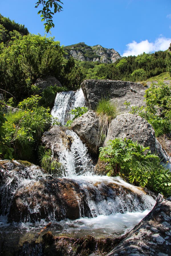 Mountain spring cascade stock photo. Image of environment - 243344870