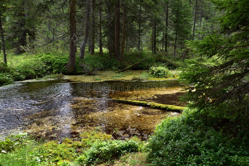 Mountain spring waters stock image. Image of natural - 257045149
