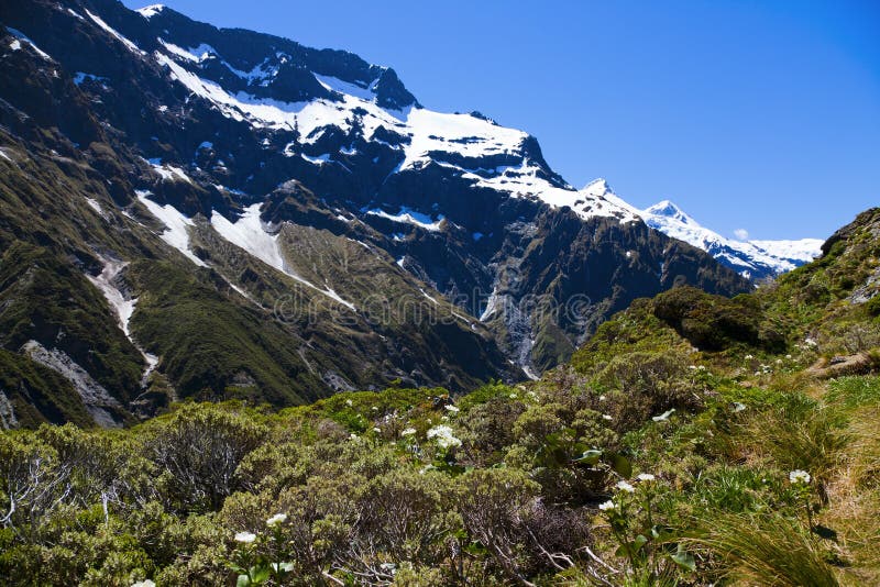 Mountain Springtime stock photo. Image of green, nature - 19280324